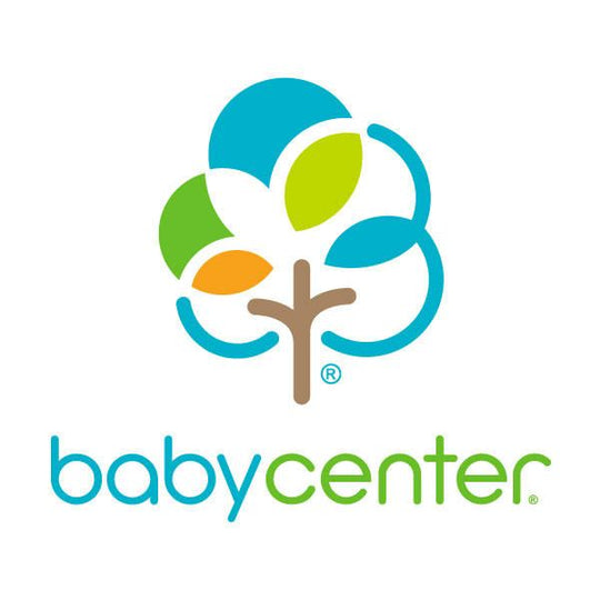 The Entourage 2.0 – Austlen Baby Co.
